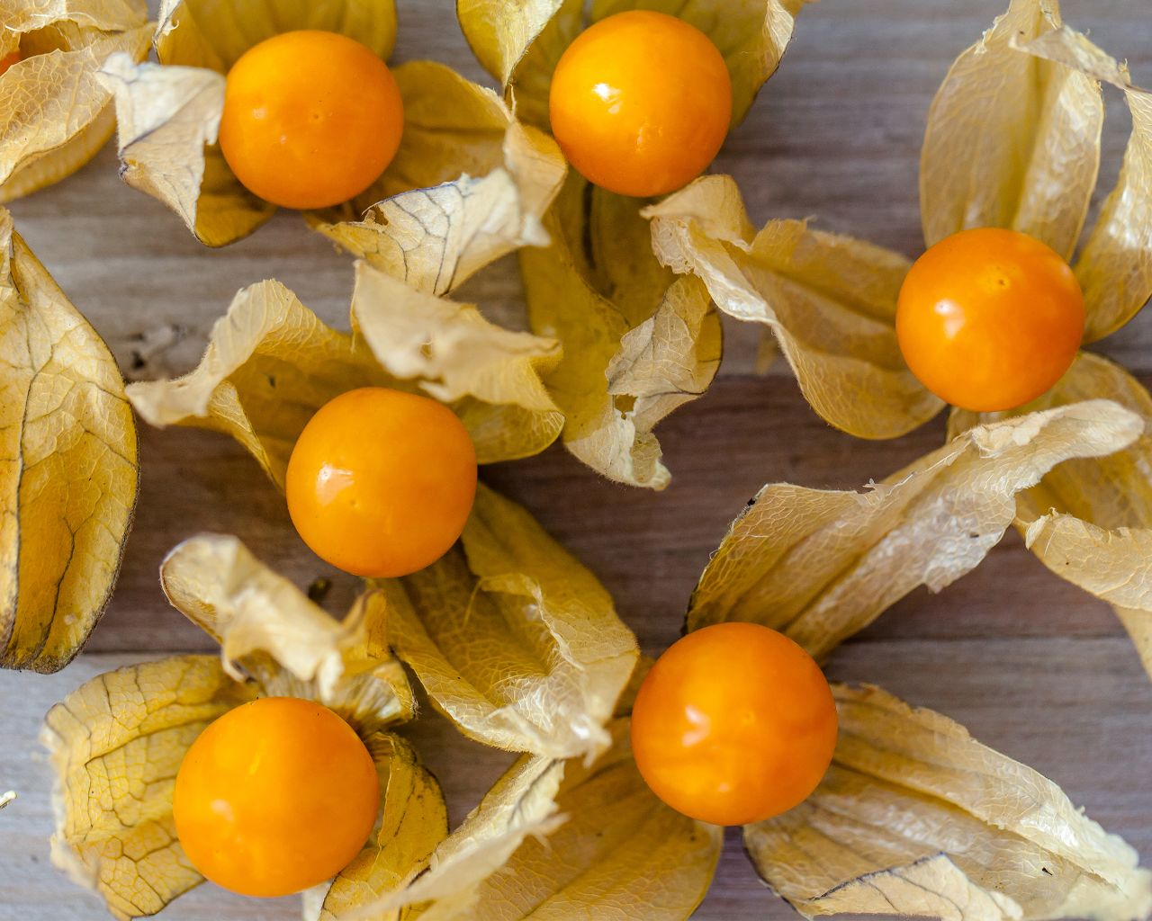 Cerise de terre (physalis): valeur nutritive, bienfaits, recettes