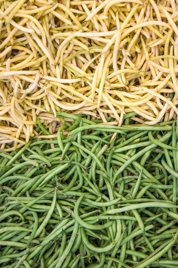 Haricots verts jaunes: valeur nutritive, bienfaits santé, conservation