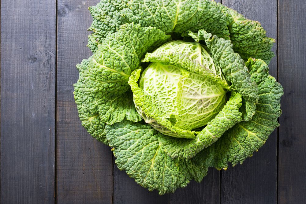 Chou: valeur nutritive, bienfaits, recettes, astuces et conservation