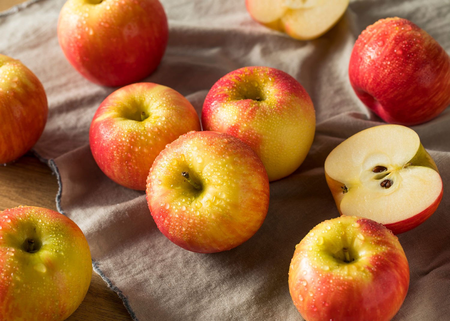 12 variétés de pommes que tu peux cueillir au Québec