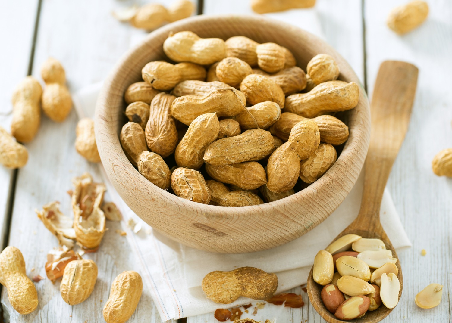 Arachides : recettes, bienfaits, conservation, guide d'achat