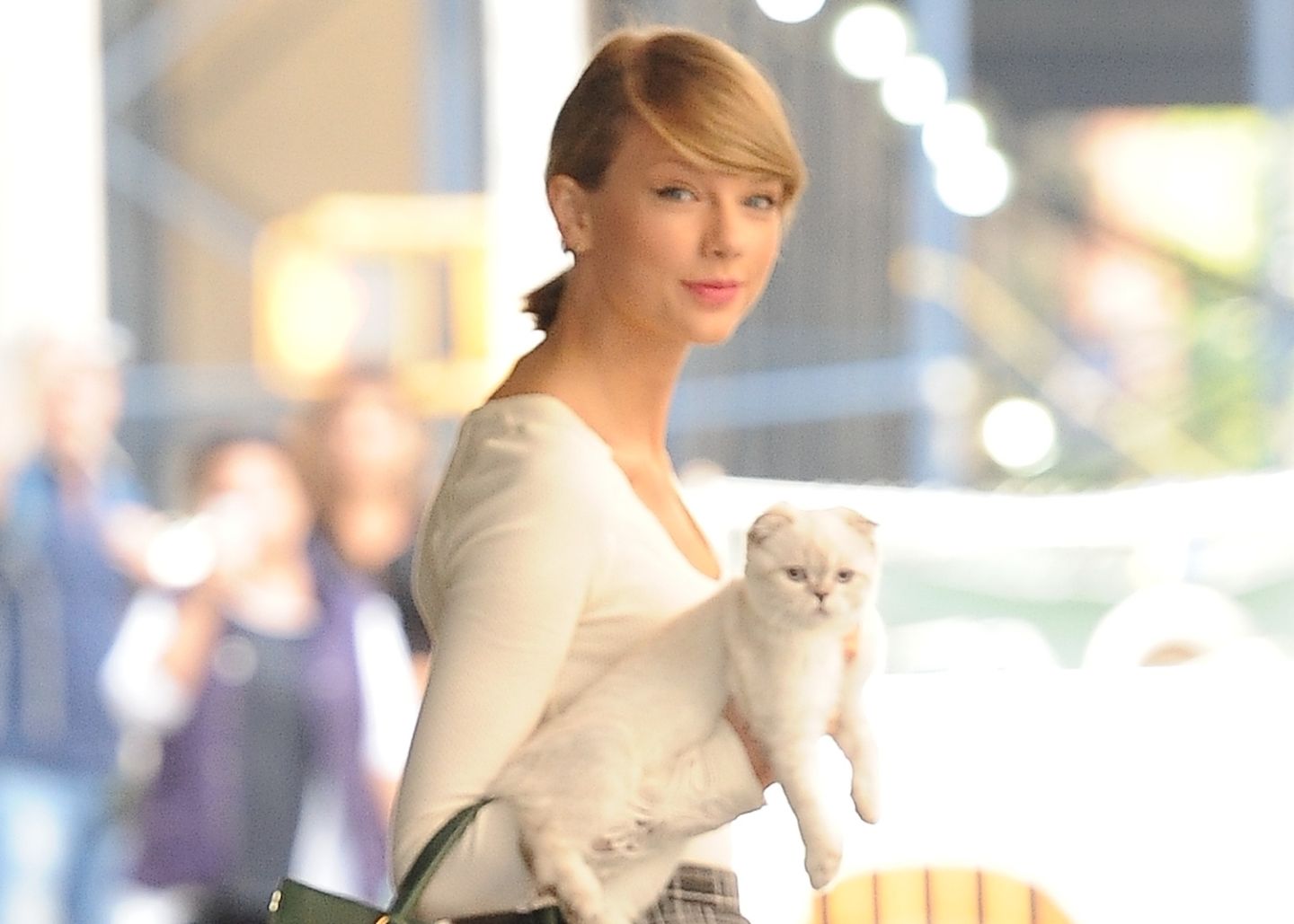 Voici pourquoi le chat de Taylor Swift vaudrait 97 millions de dollars!