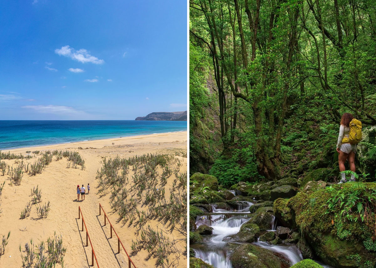 Madère : nos incontournables pour un voyage inoubliable