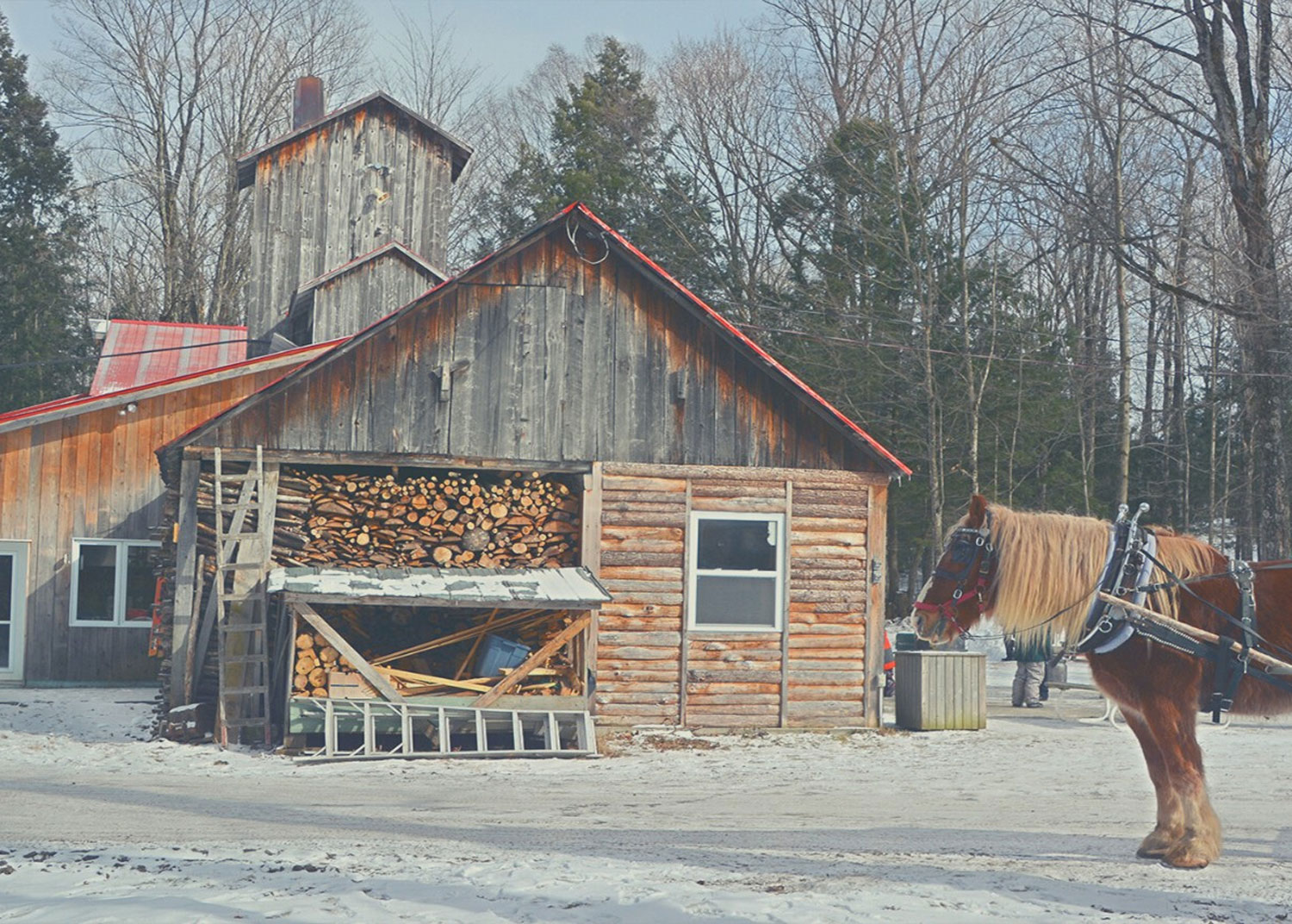 12 cabanes à sucre originales au Québec