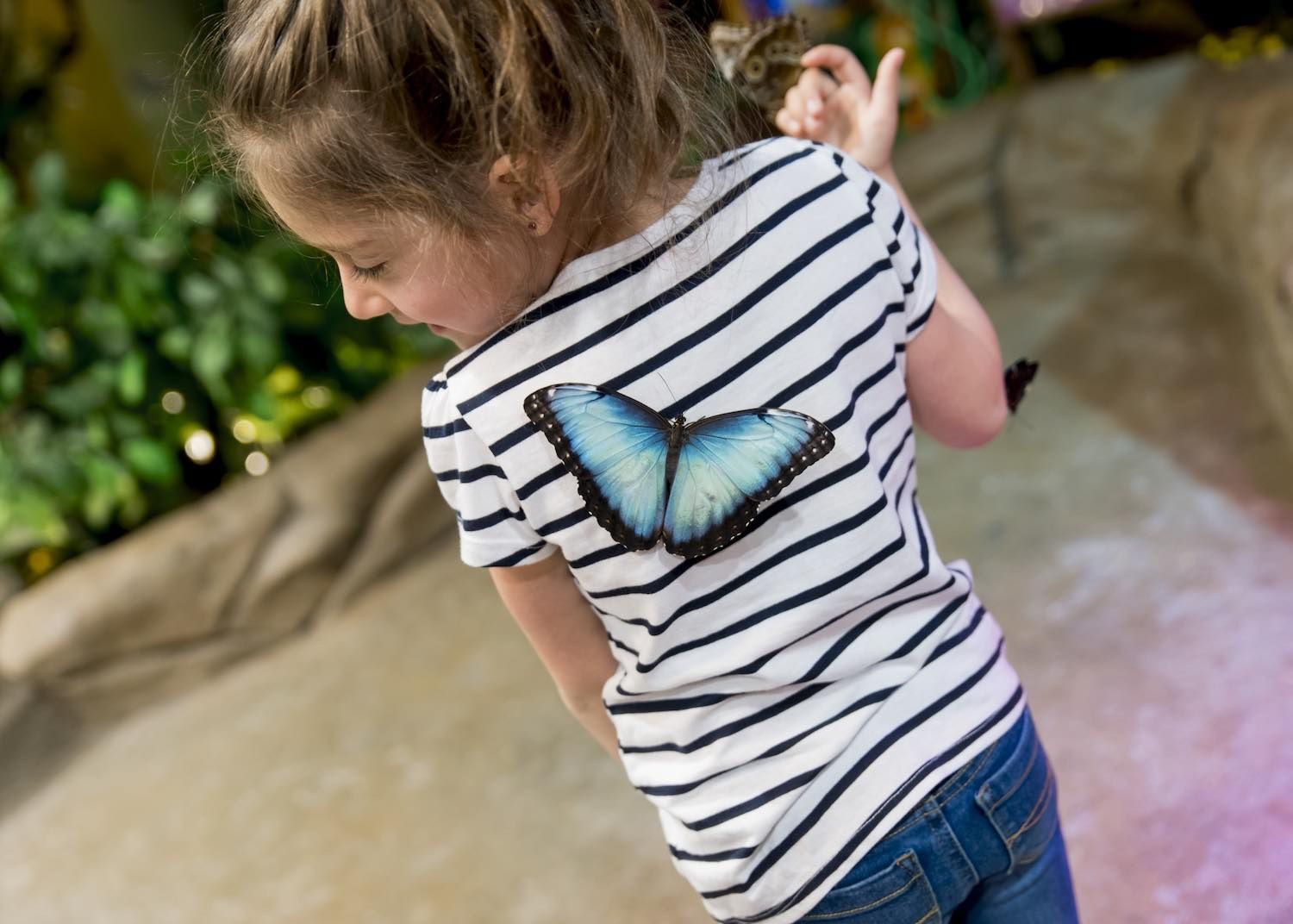 BFLY: un nouveau labyrinthe pour encore plus de plaisir en 2023