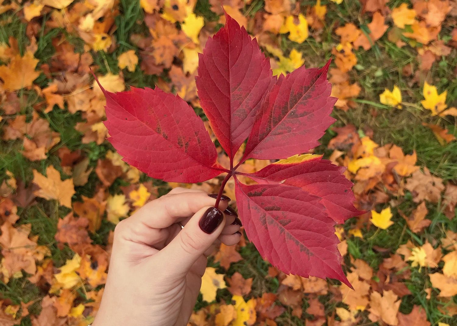 Après une vague de chaleur, le Québec connaîtra une cassure brutale des ...