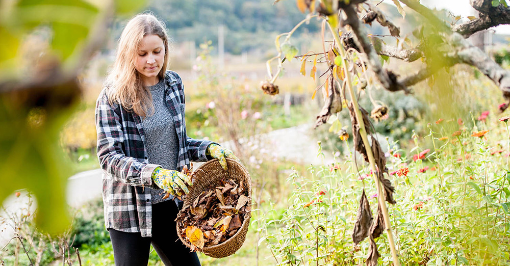 5 essentiels pour entretenir la cour et le terrain durant l'automne