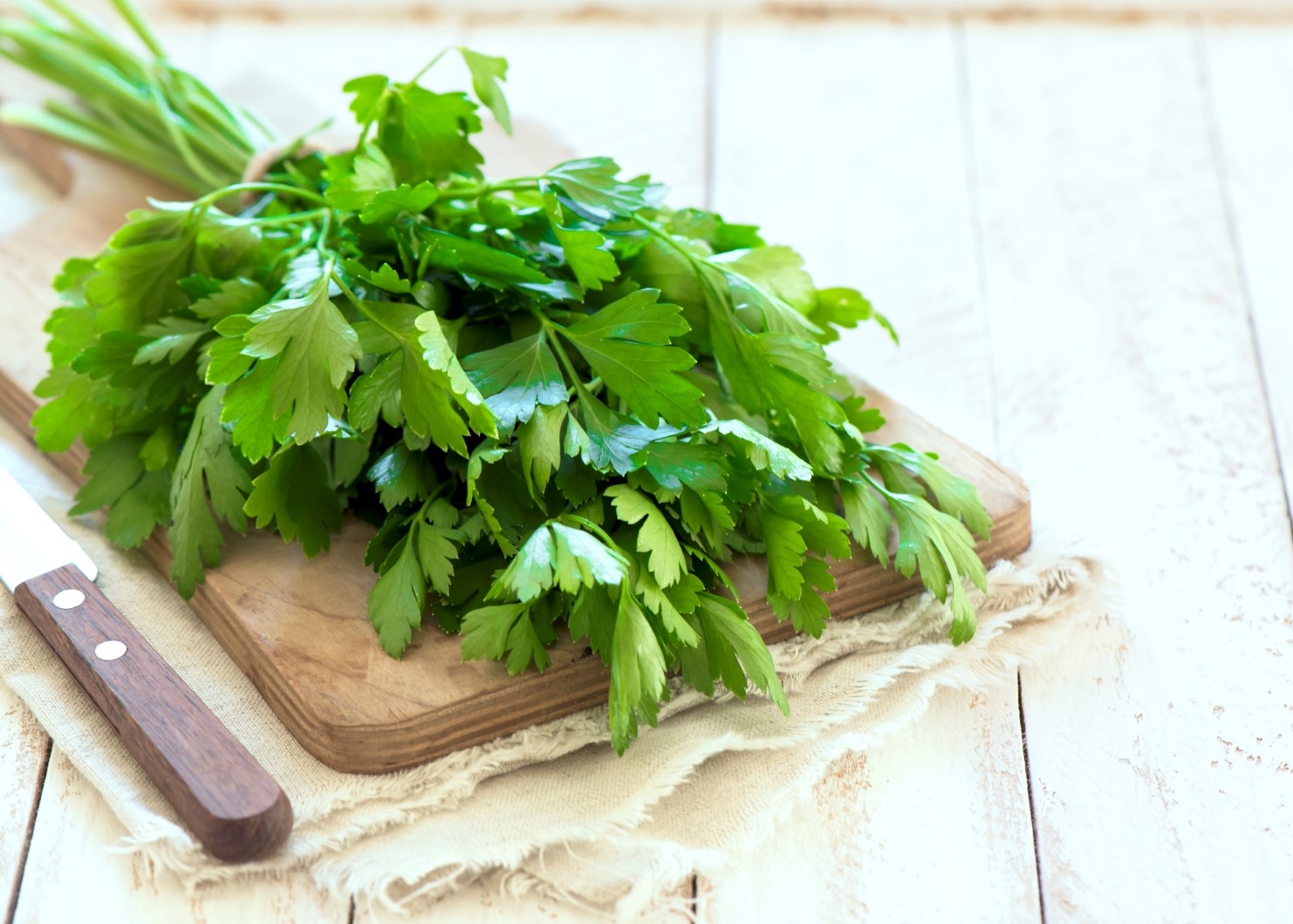 Persil: bienfaits pour la santé, conservation, idées recettes