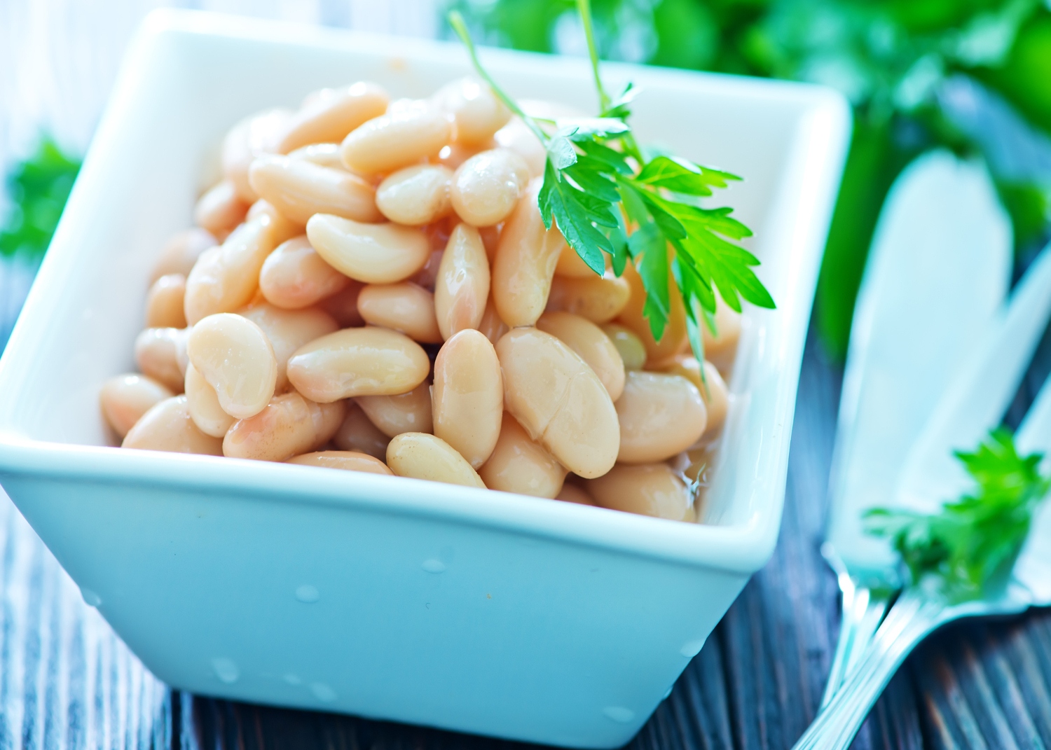 Haricots blancs : valeur nutritive, bienfaits, recettes, conservation