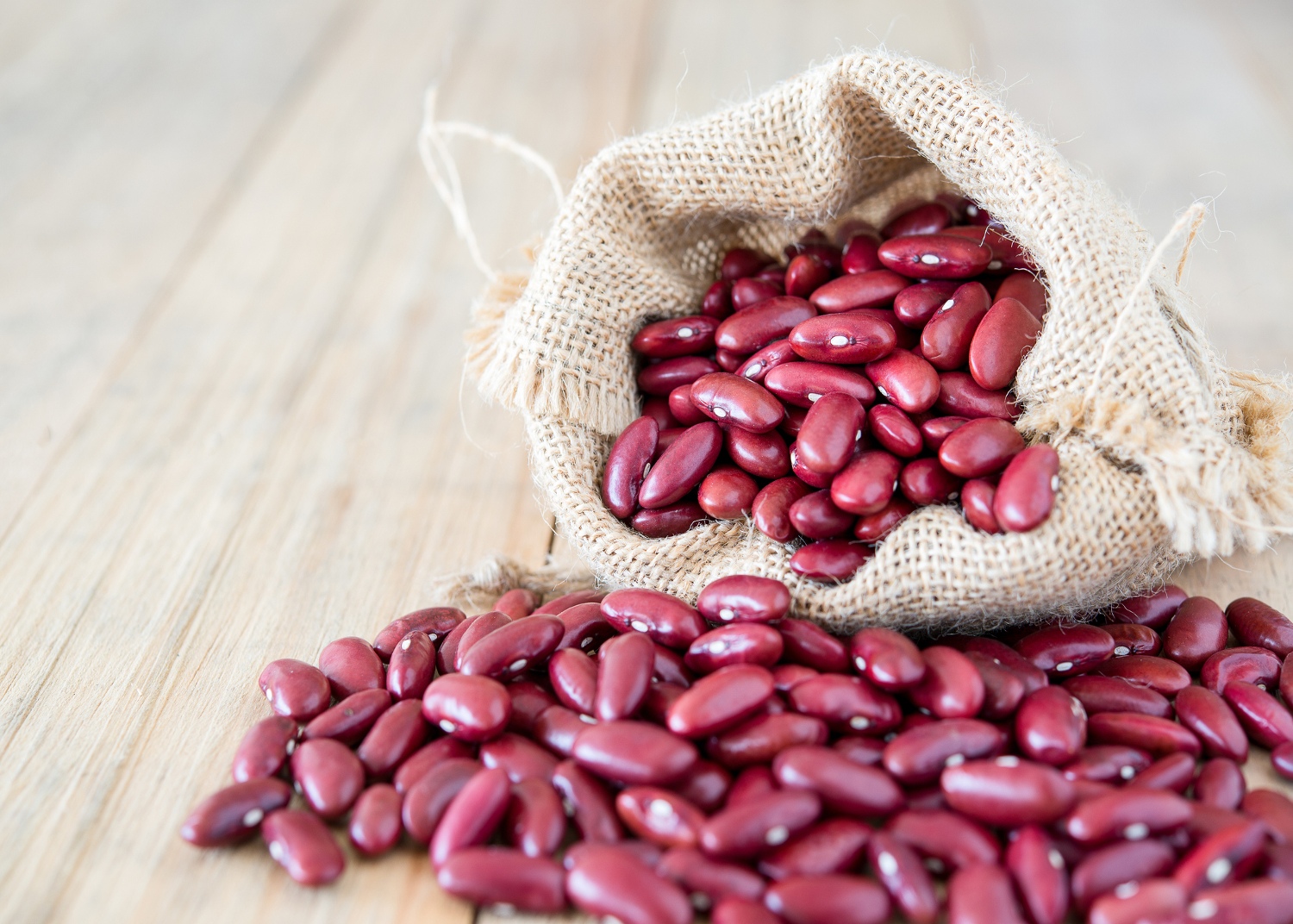 Haricots rouges : valeur nutritive, bienfaits, recettes, conservation