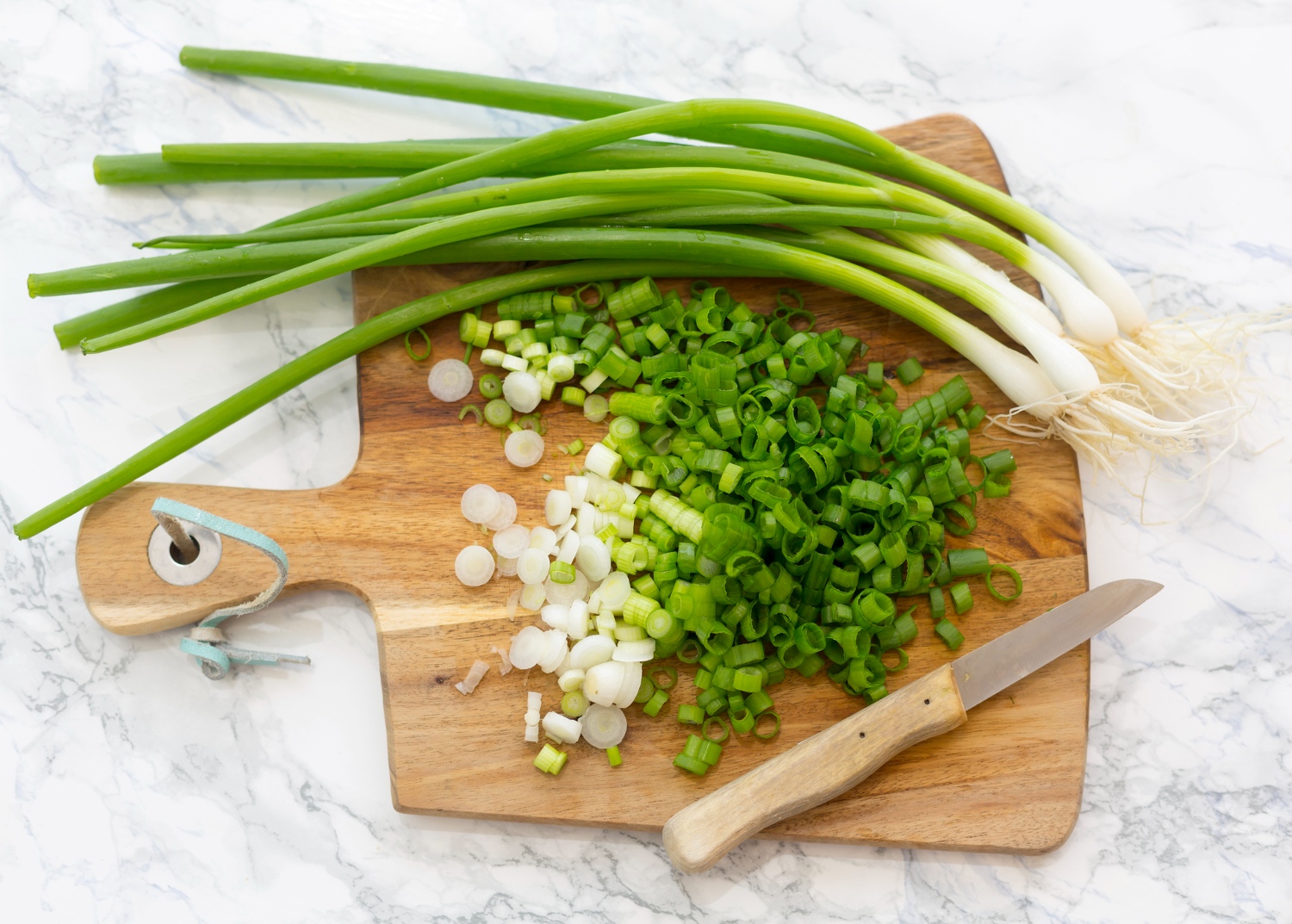 Échalote (oignon vert) : valeur nutritive, bienfaits santé, recettes