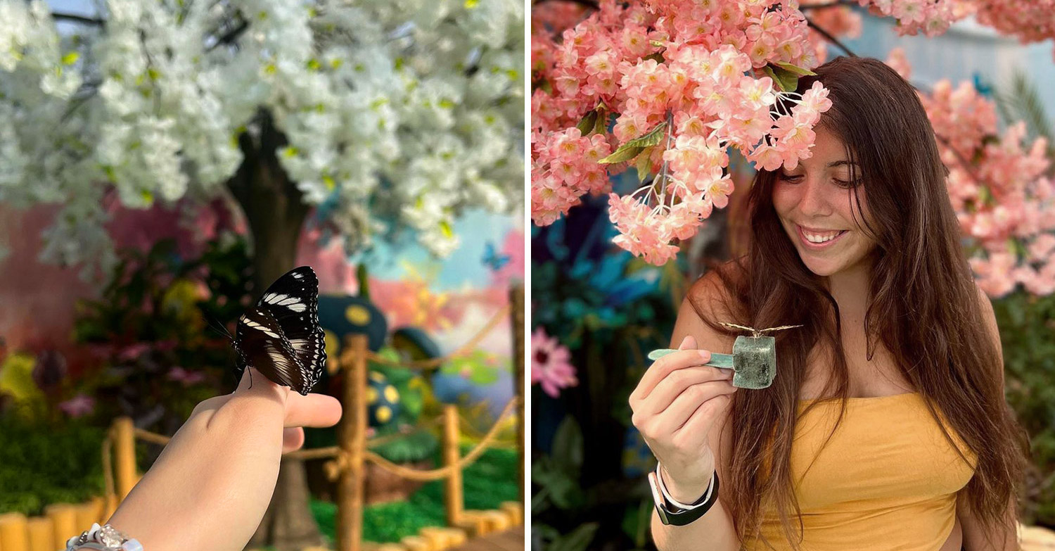 BFLY: un nouveau labyrinthe pour encore plus de plaisir en 2023