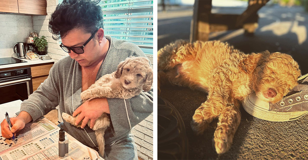 Eric Lapointe's Girlfriend Judith Bérard Shares Adorable Photos of their Growing Dog Bob – Archyde