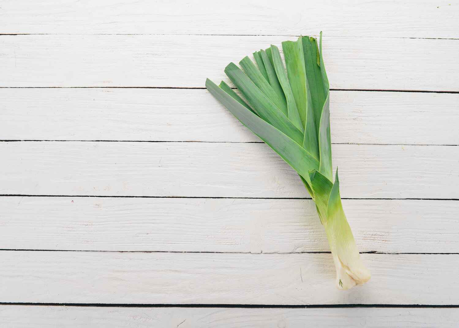 Poireau : valeur nutritive, bienfaits sur la santé, idées recettes