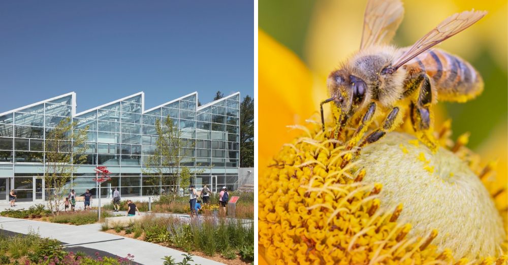 Un événement unique débarque à l’Insectarium et c'est gratuit!