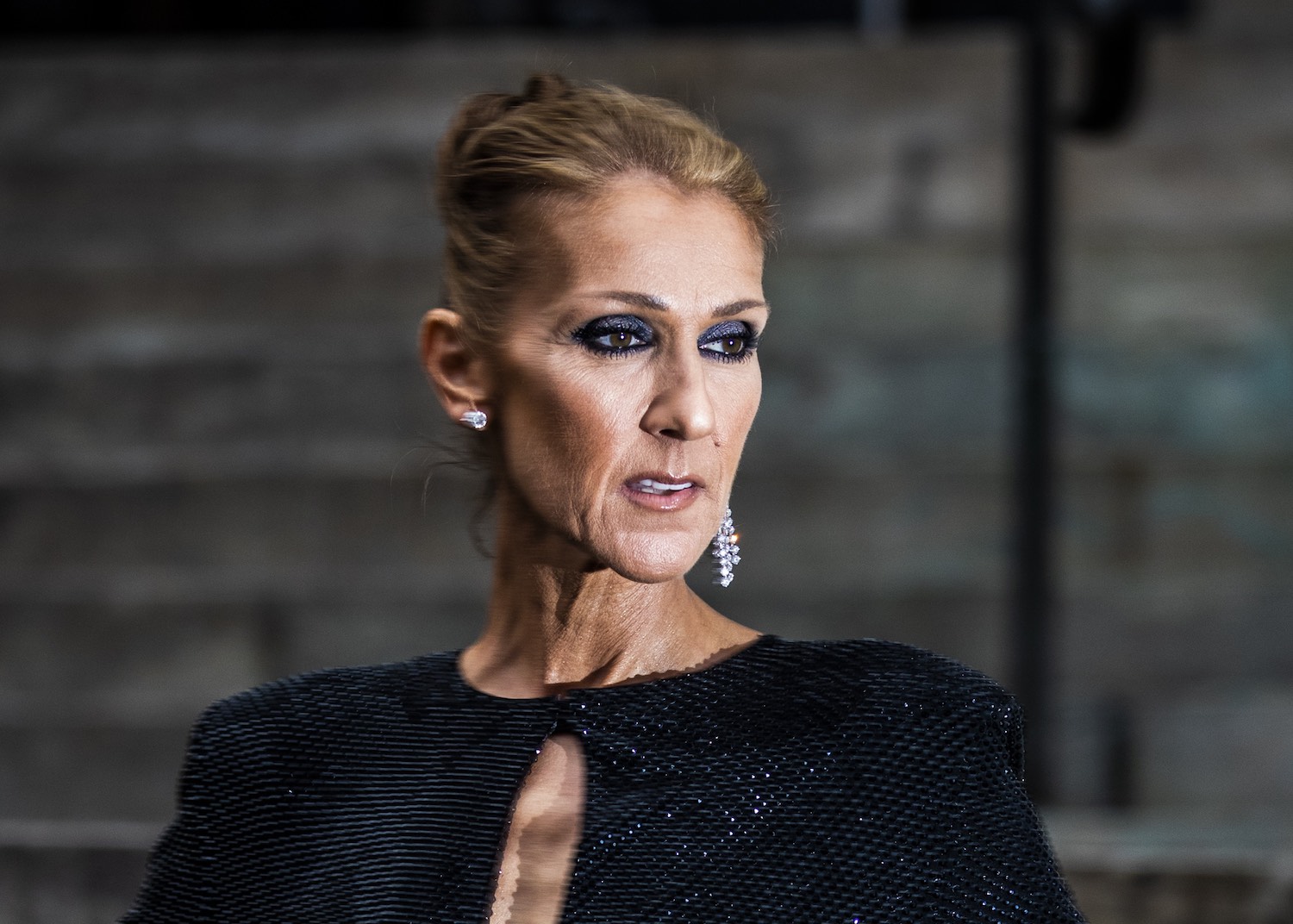 Céline Dion a enfilé une combinaison léopard pour assister au concert ...