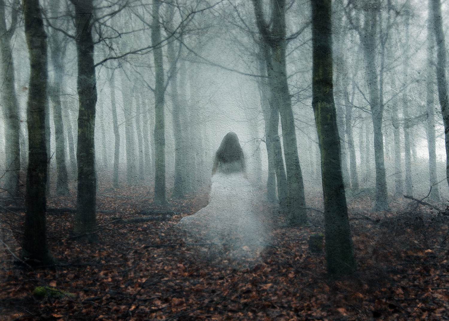 Les esprits: origines et guide pour reconnaître ces manifestations