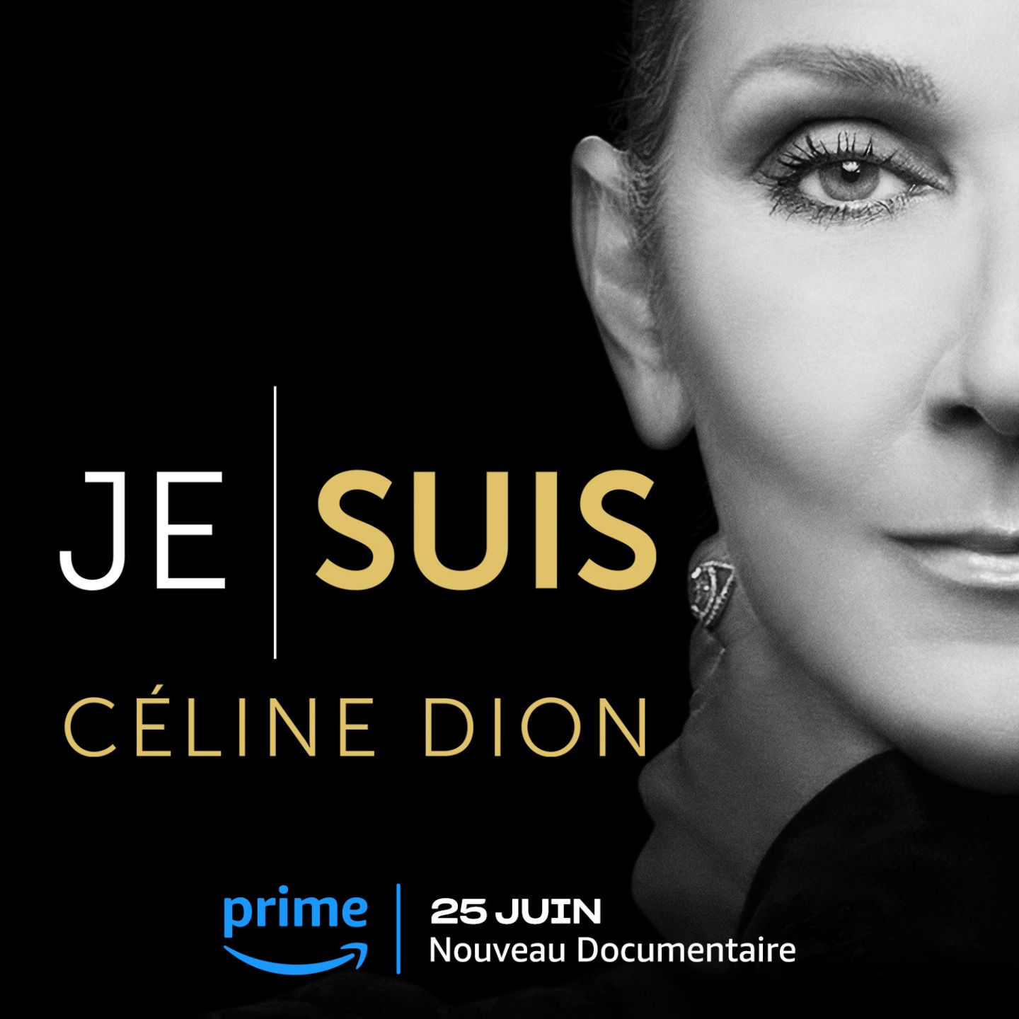 Le docu de Céline Dion sera projeté en primeur à ce cinéma
