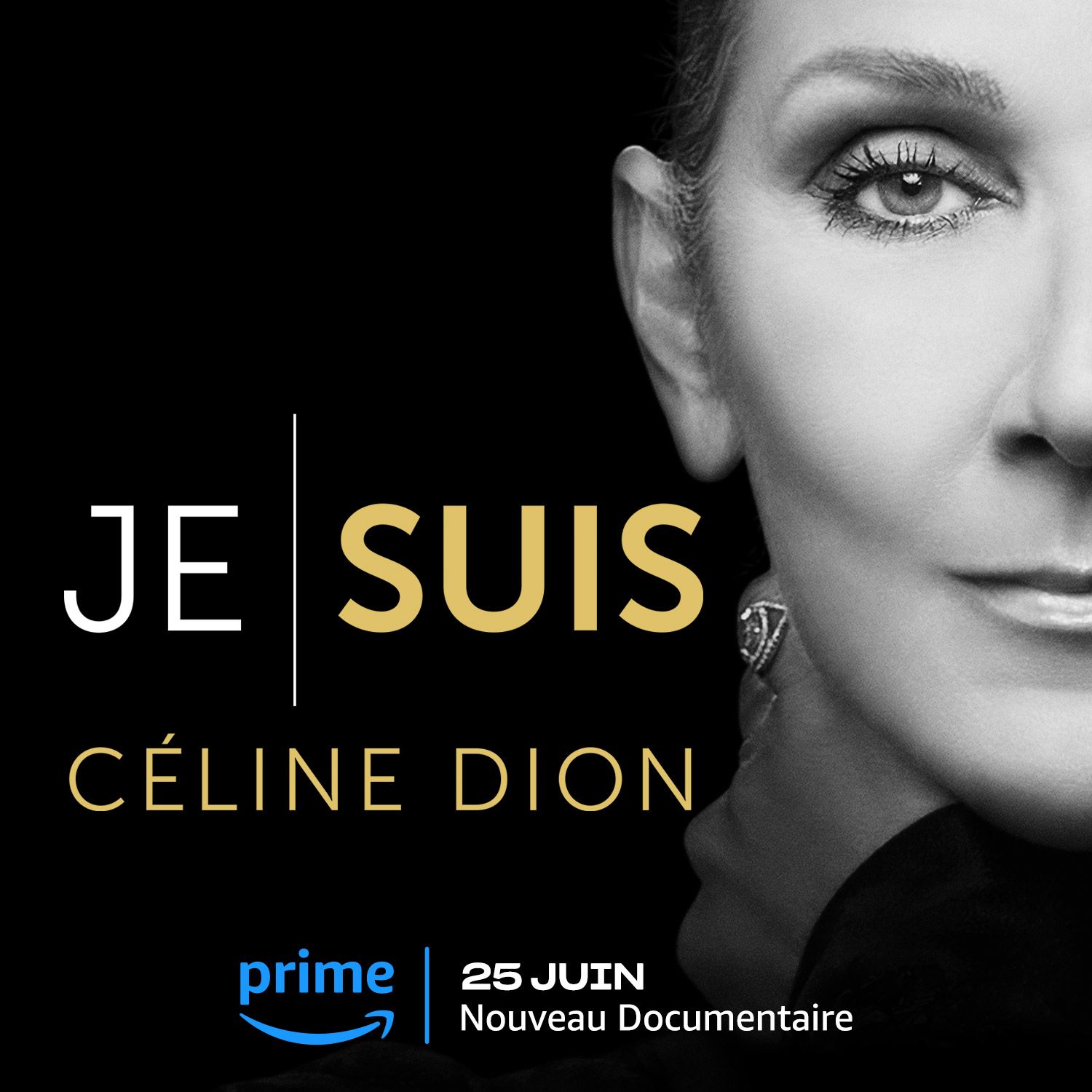 Le docu de Céline Dion sera projeté en primeur à ce cinéma
