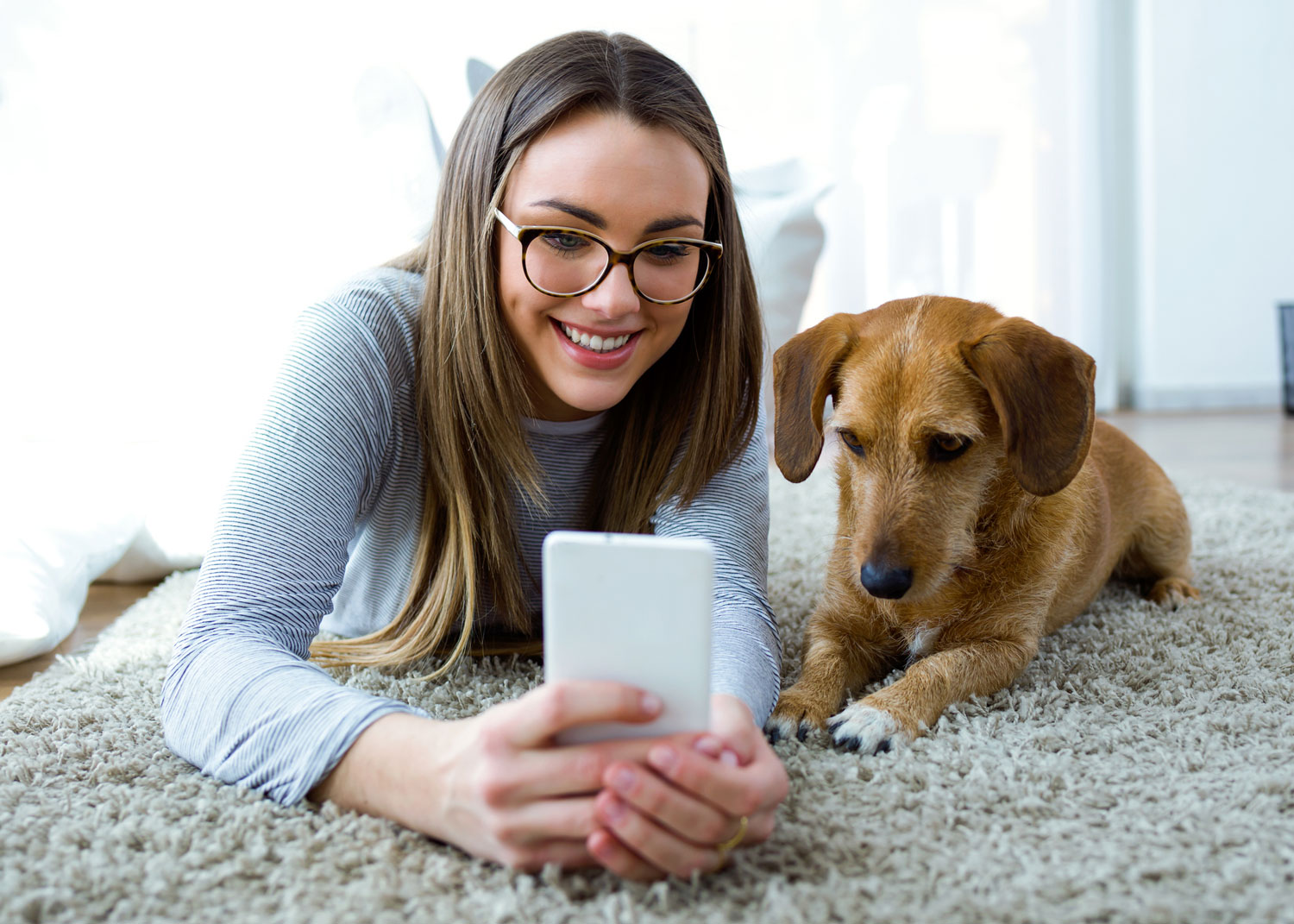 Les meilleures applications et technologies au service des animaux