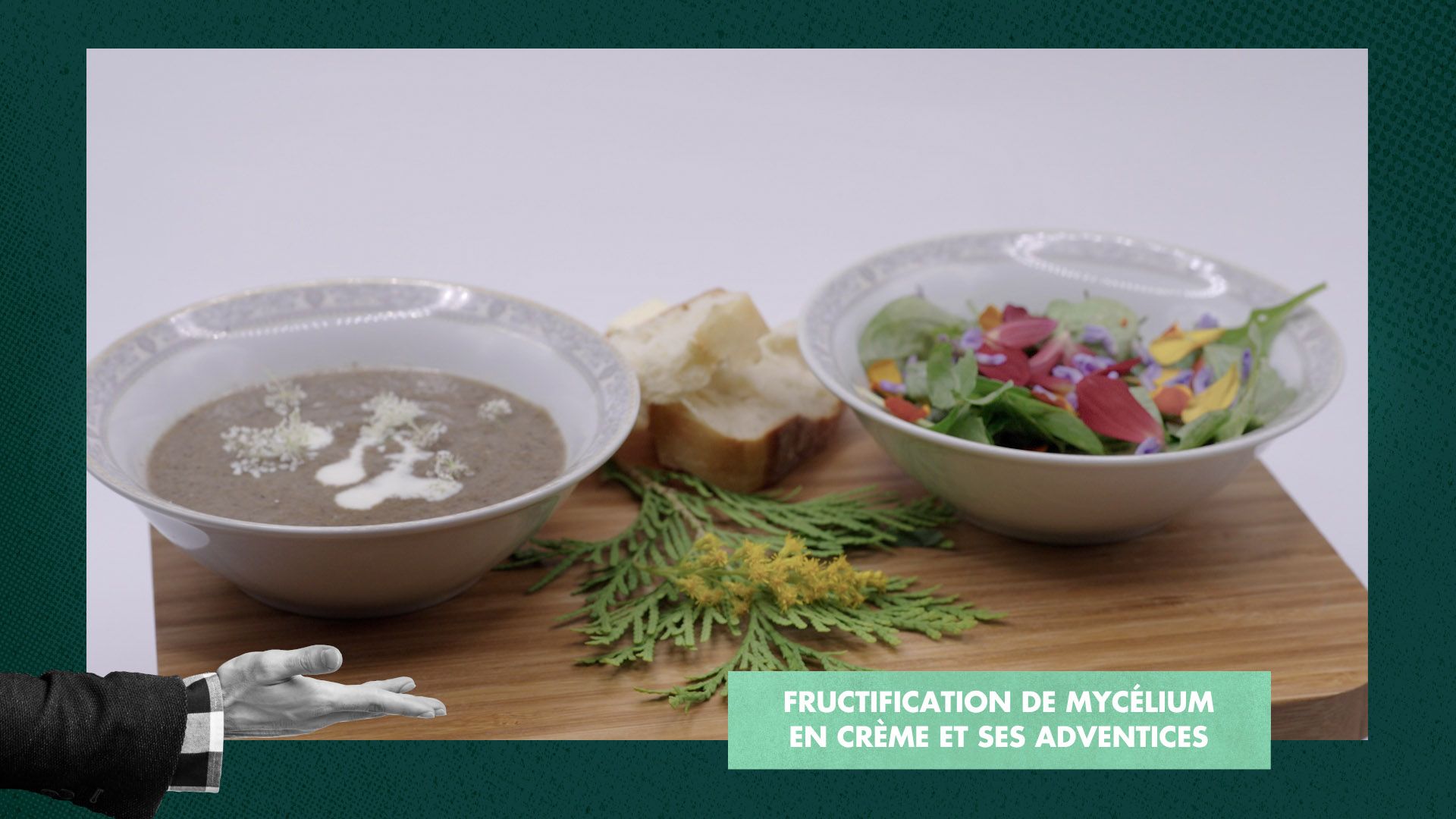 Fructification de mycélium en crème et ses adventices