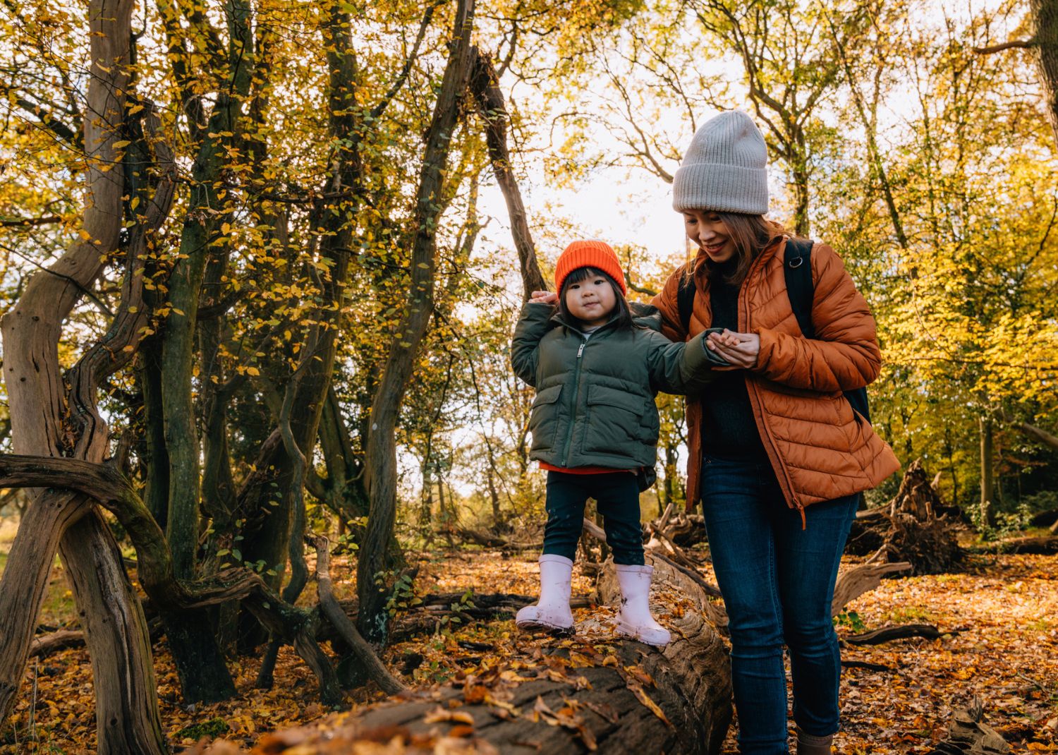 Météo: l'automne sera doux au Québec, mais ça ne durera pas