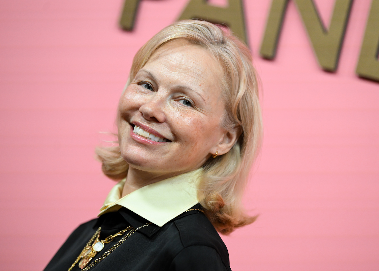 Pamela Anderson ne ressemble plus à ça