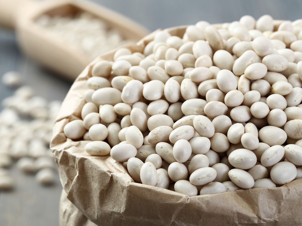 Haricots blancs : valeur nutritive, bienfaits santé et conservation