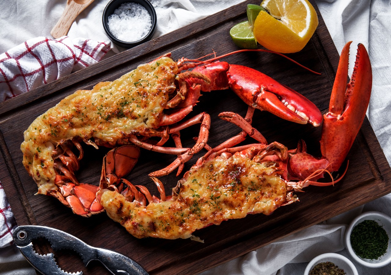 Homard : comment l'apprêter, recettes, bienfaits, conservation