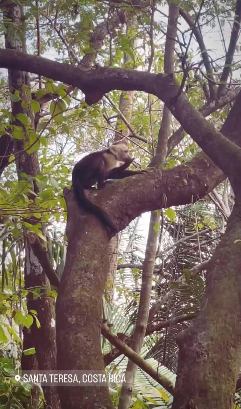 Jonathan Roy partage une nouvelle photo à couper le souffle