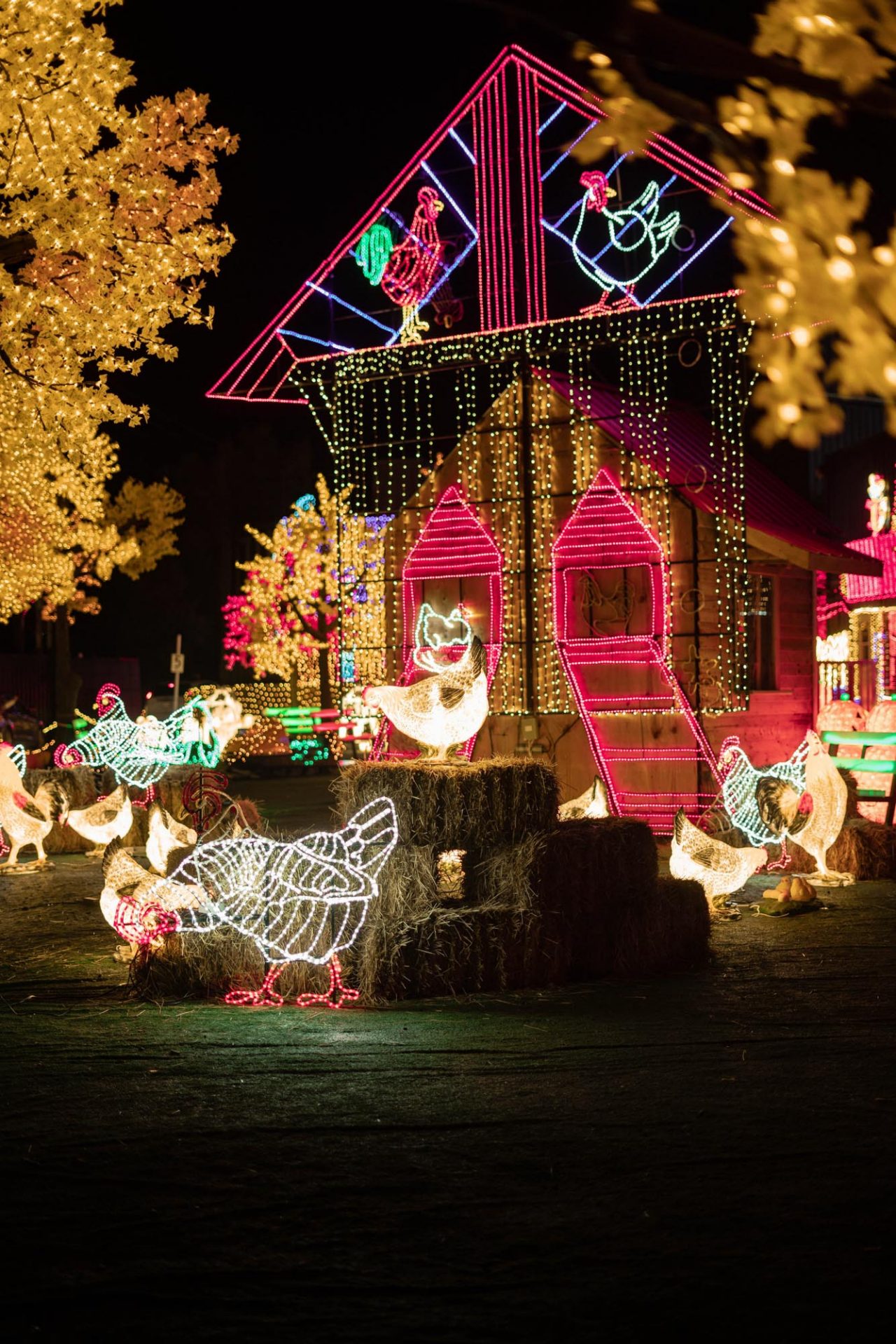 La famille Groulx rayonne sur le tapis rouge d'Illumi