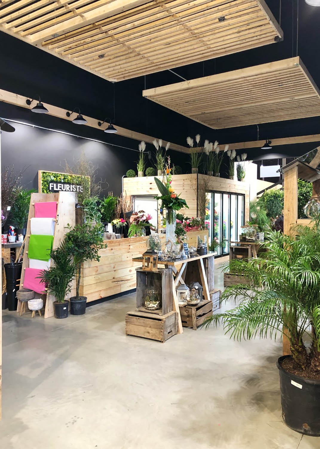 J'ai visité le nouveau méga magasin de plantes Archipel et voici mes ...