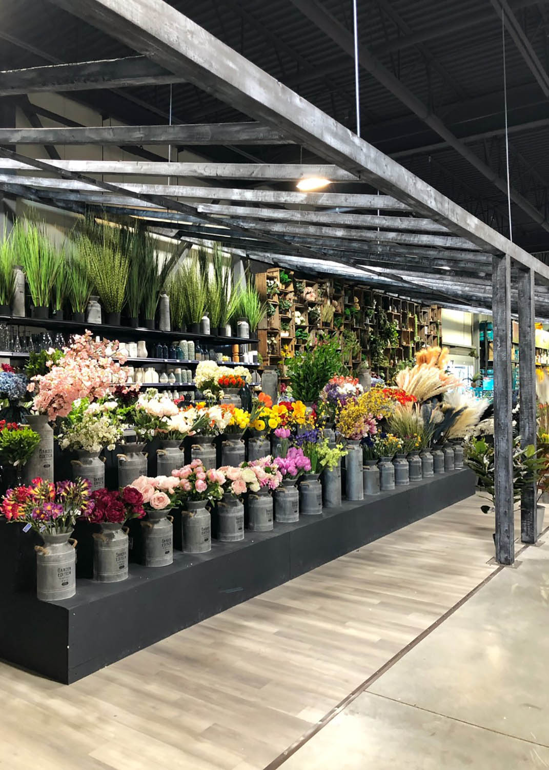 J'ai visité le nouveau méga magasin de plantes Archipel et voici mes ...