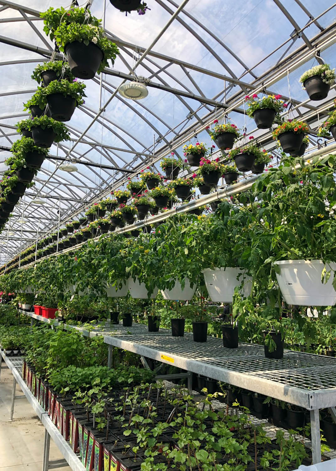 J'ai visité le nouveau méga magasin de plantes Archipel et voici mes ...