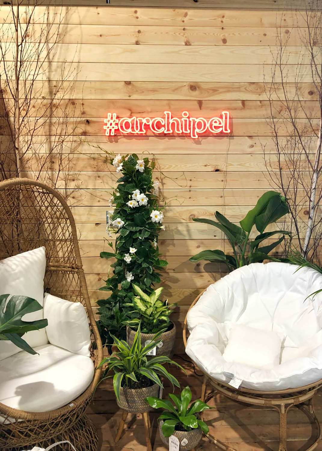 J'ai visité le nouveau méga magasin de plantes Archipel et voici mes ...