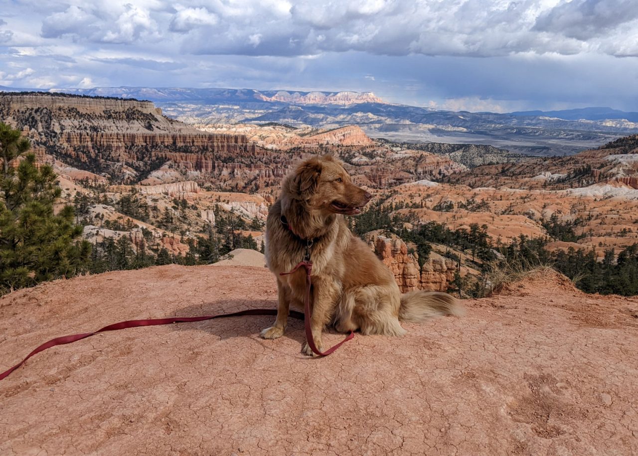 Voyager un an en famille en autobus modifié : témoignage