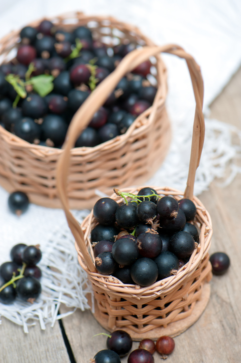 Cassis: valeur nutritive, bienfaits, vertus, recettes et conservation