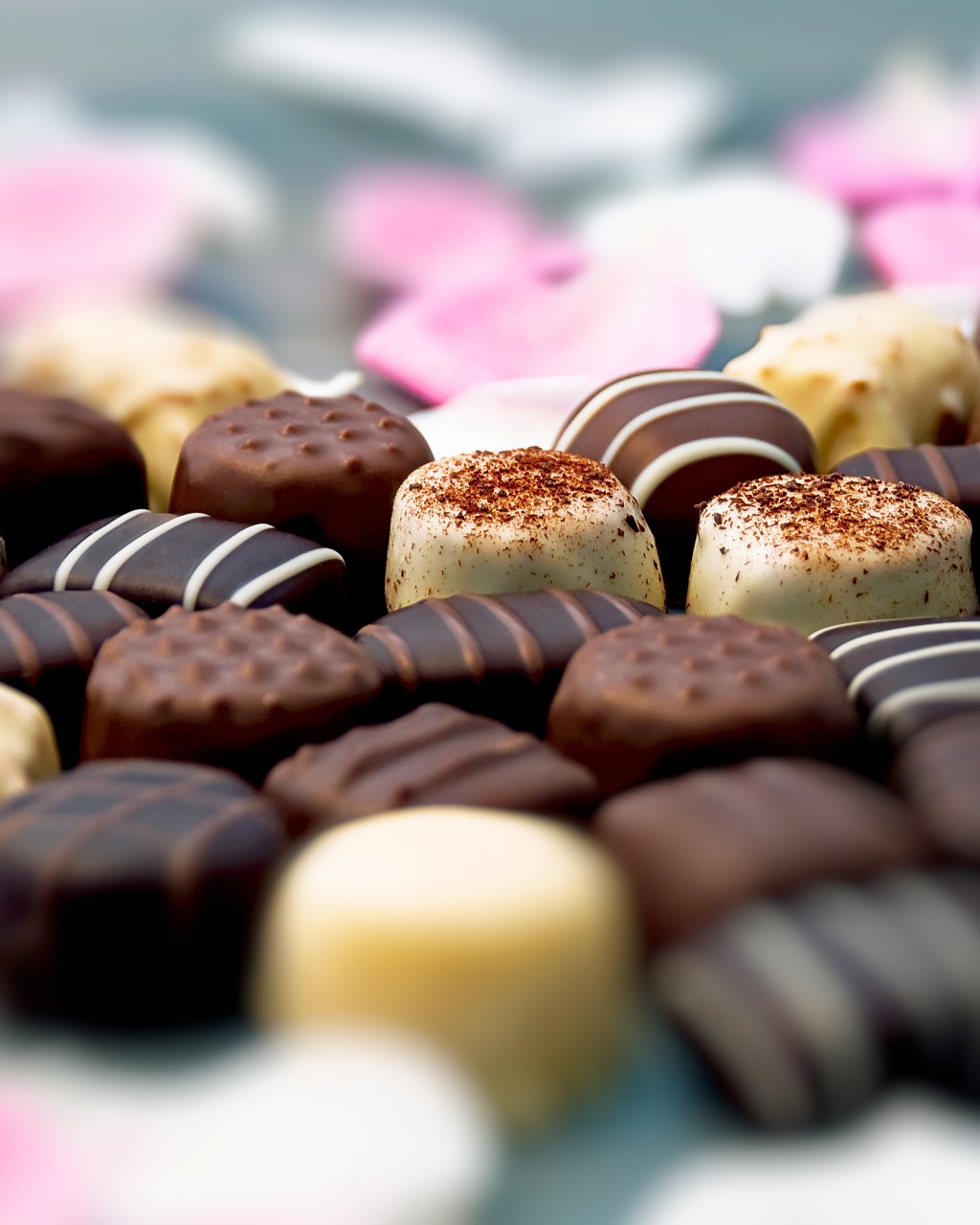 Chocolat : valeur nutritive, bienfaits, idées recettes, conservation