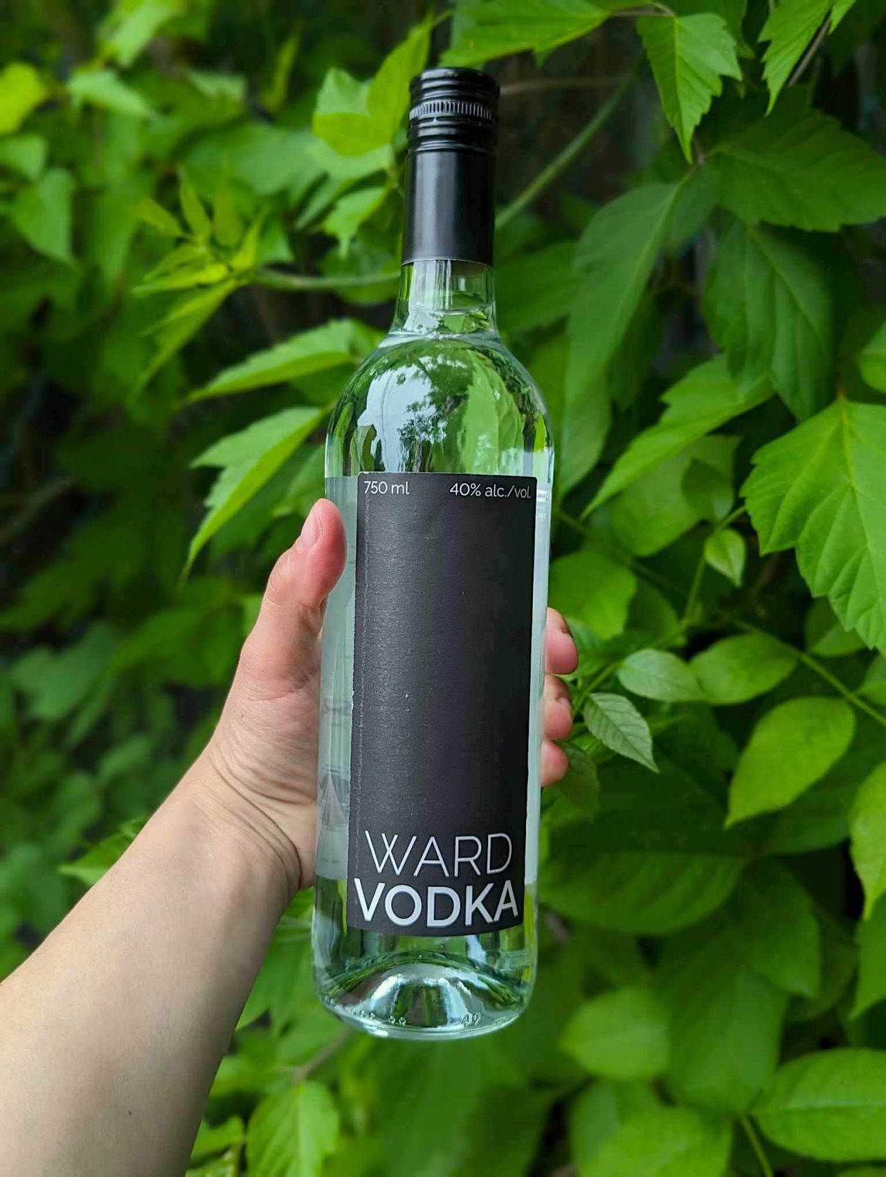 Mike Ward lance une vodka au goût aussi doux que son prix!