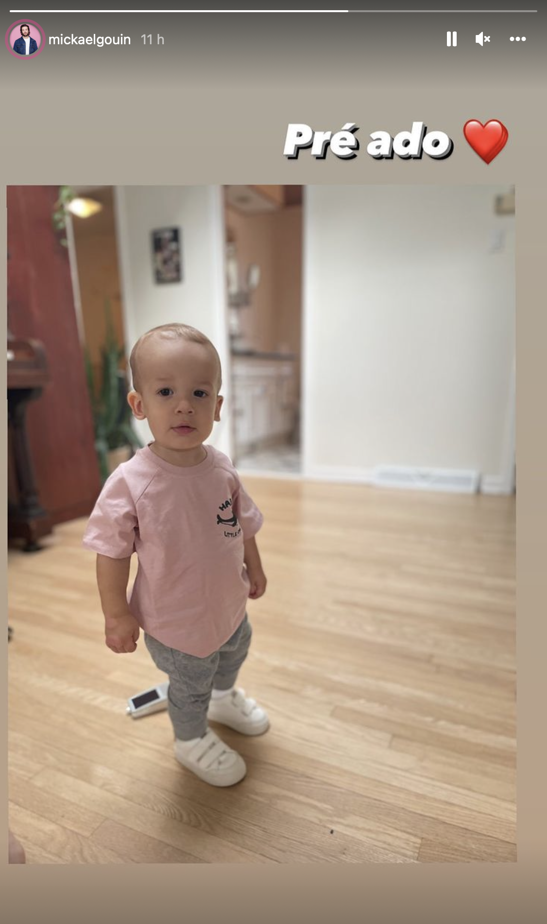 Mickaël Gouin et Léane Labrèche-Dor dévoilent une adorable photo de ...