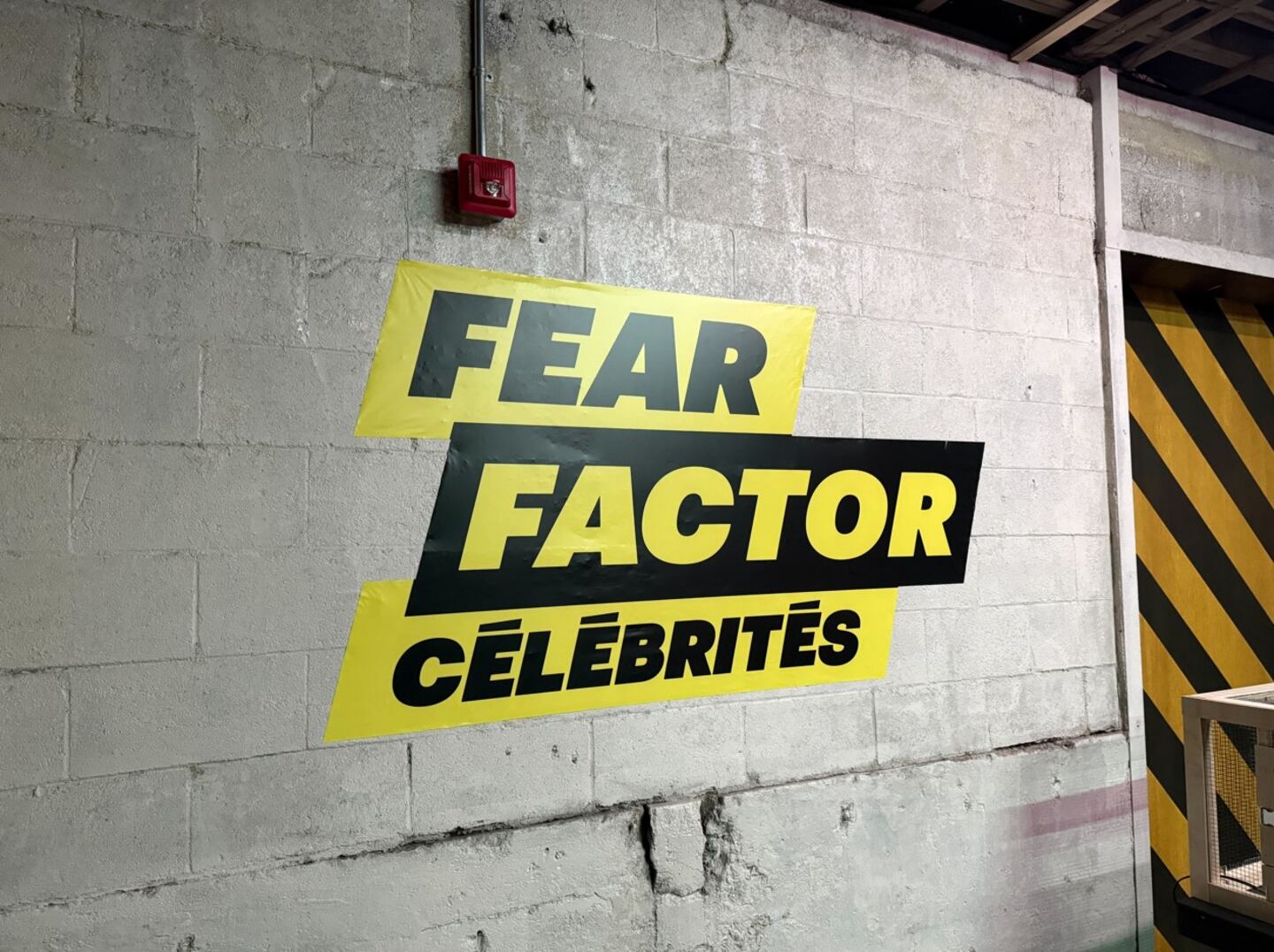 On sait ENFIN quelles célébrités participent à Fear Factor!