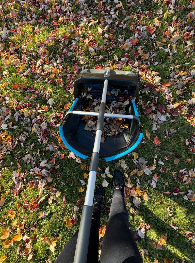 J'ai testé cette machine à ramasser les feuilles