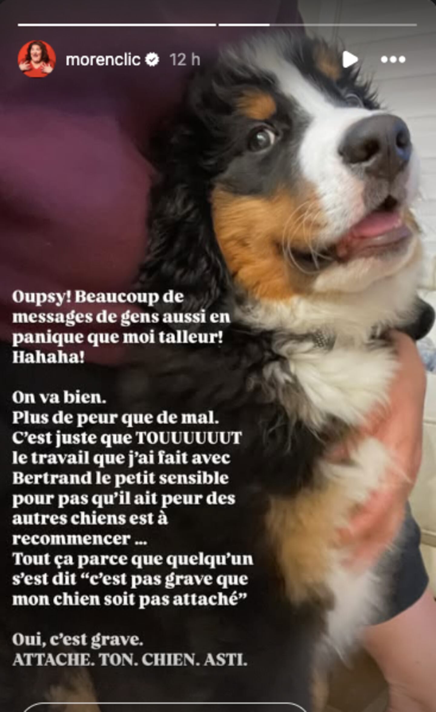 Christine Morency avait un message important pour les propriétaires de ...