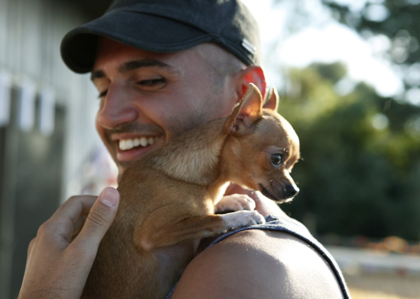 13 races de chiens qui restent petits tout au long de leur vie