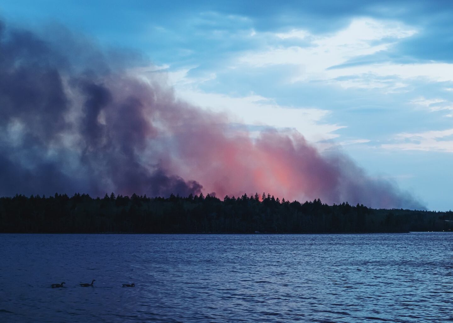 Temps doux: un risque de sécheresse et de feux de forêt élevé