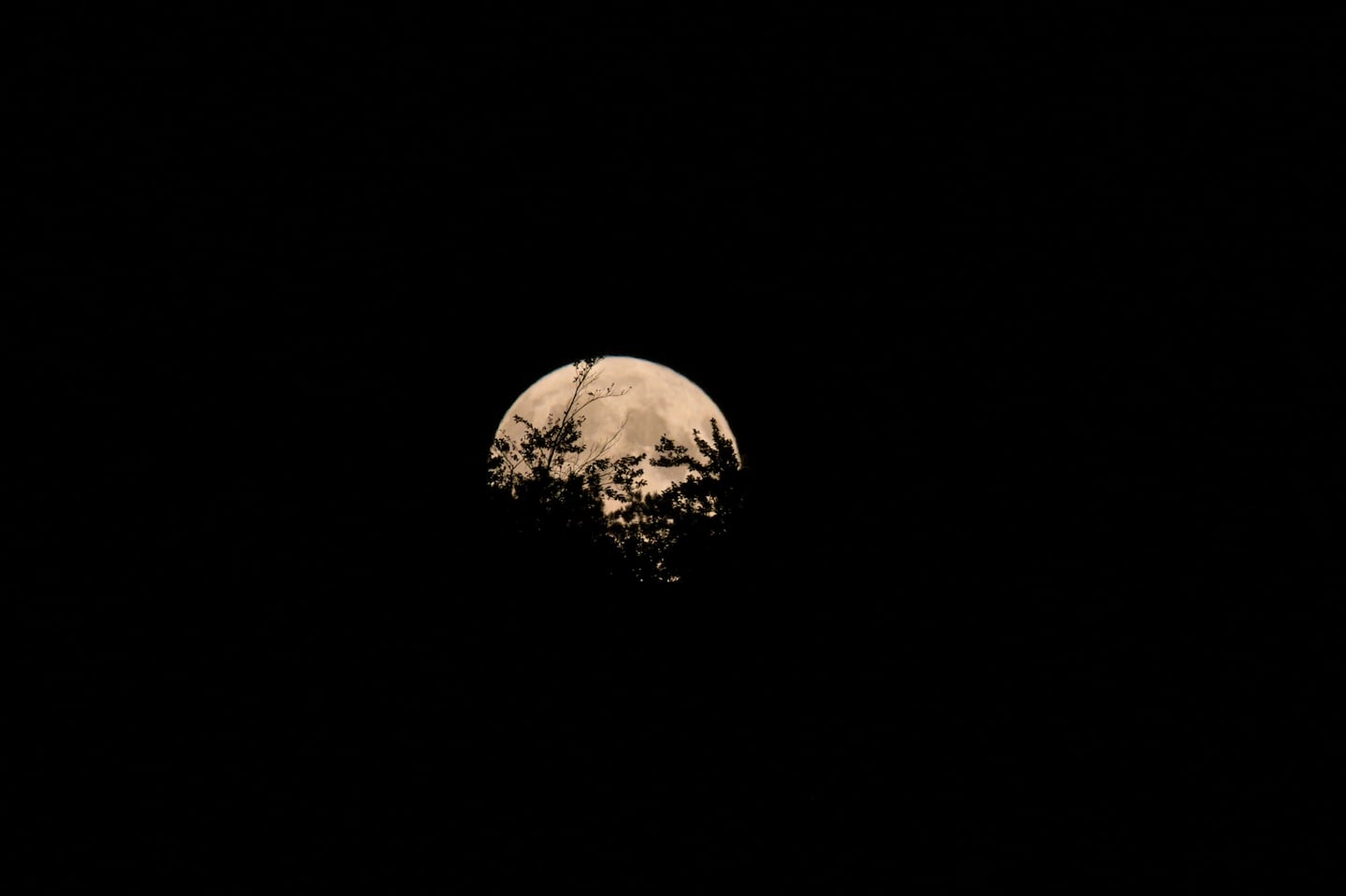Pourquoi la pleine lune du 29 juin pourrait bouleverser certains signes ...
