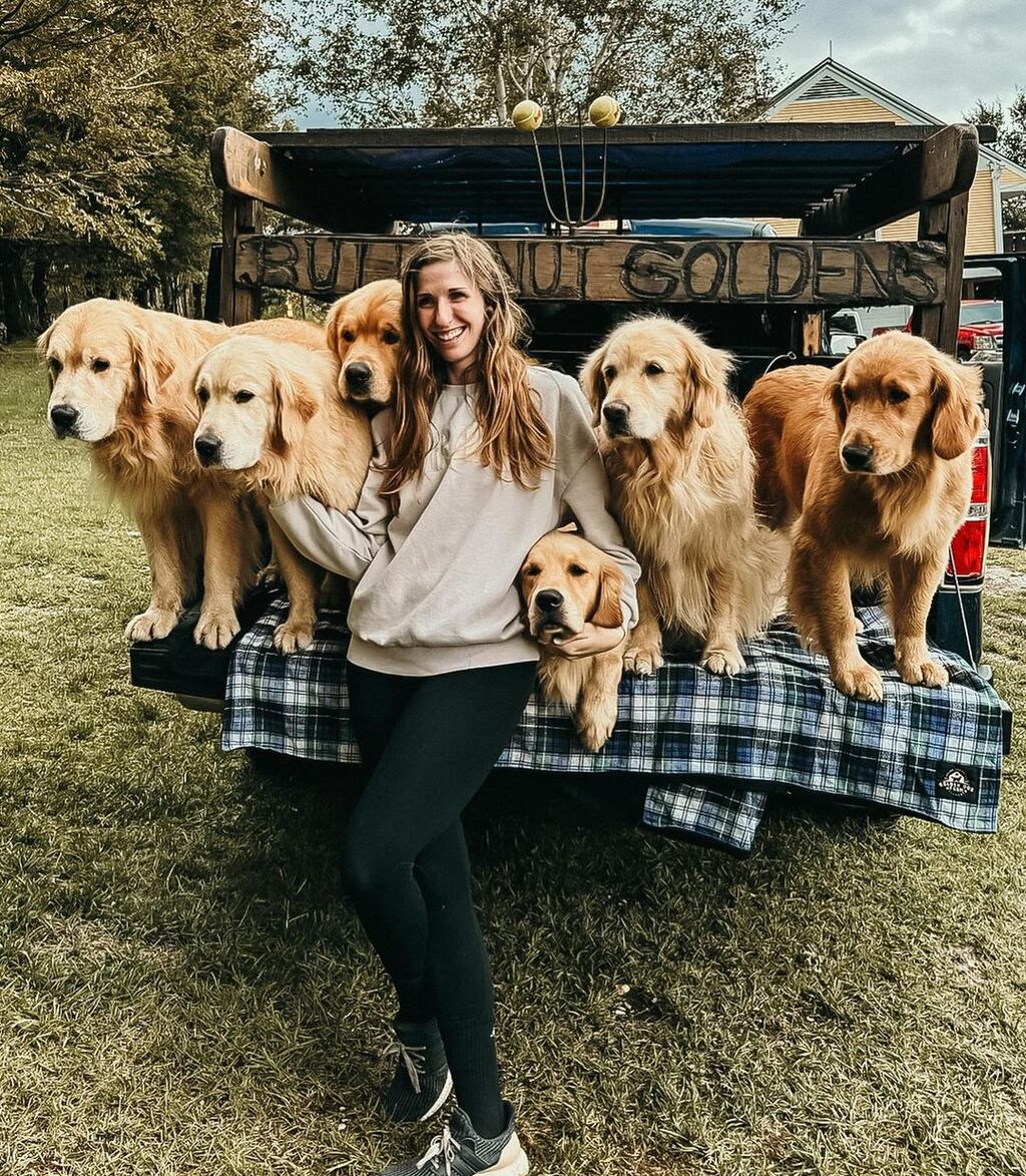 Ce vignoble offre de flatter des Golden Retrievers verre à la main