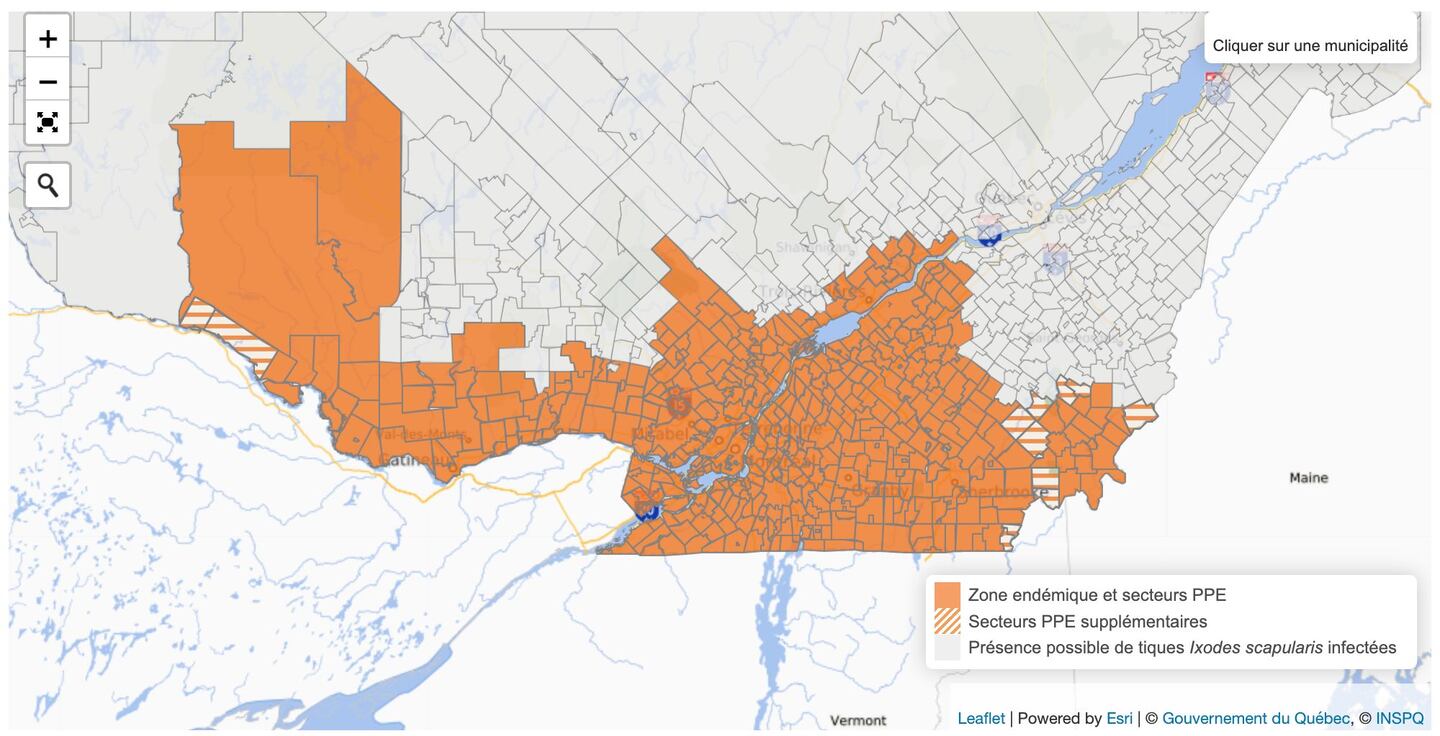 Maladie de Lyme: voici les zones les plus touchées au Québec