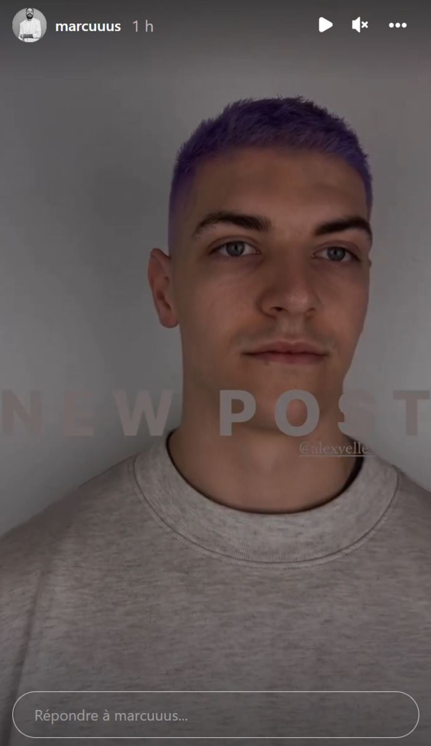 Des couleurs de cheveux éclatées pour Jackson et Alex Yelle d'OD dans l ...