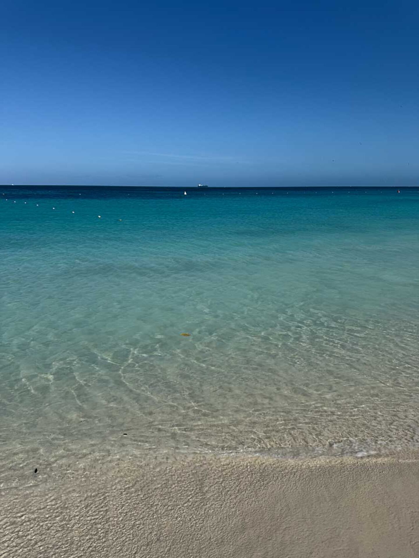 Aruba: 10 activités incontournables sur cette île paradisiaque